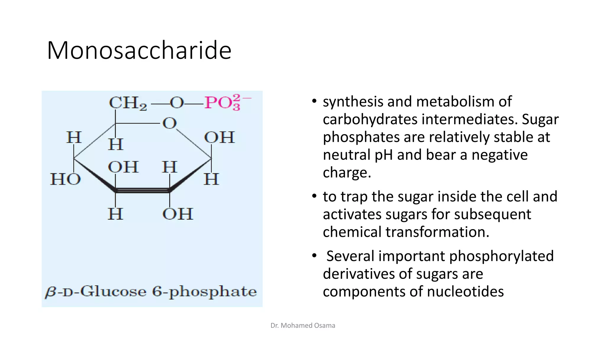Carbohydrates chemistry 1 | PDF