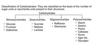 Carbohydrates powerpoint presentation ppt | PPT