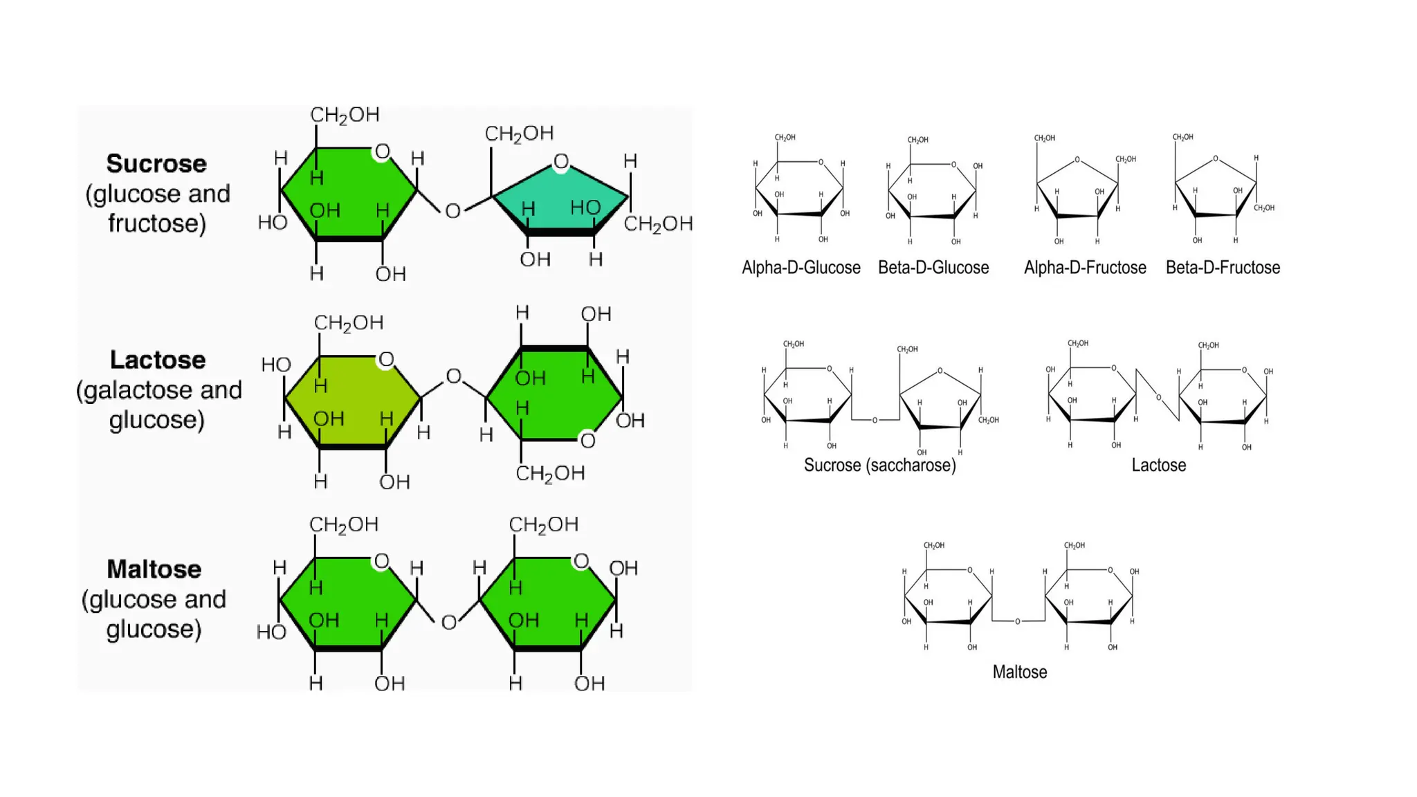 carbohydrates, classfication, sources and types.pptx | Chemistry | Science