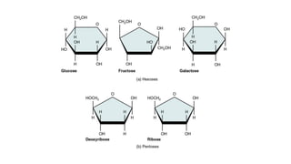 carbohydrates, classfication, sources and types.pptx