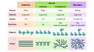 carbohydrates, classfication, sources and types.pptx | Chemistry | Science