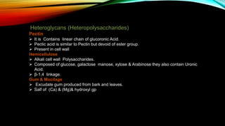 CARBOHYDRATE CLASSIFICATION.pptx