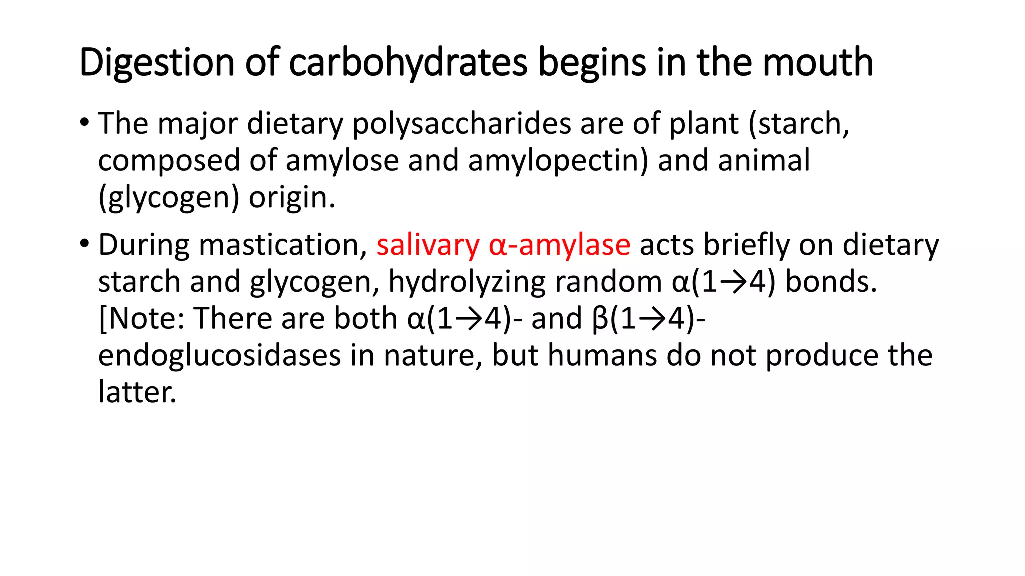 Carbohydrates digestion lec1 audio | PPTX