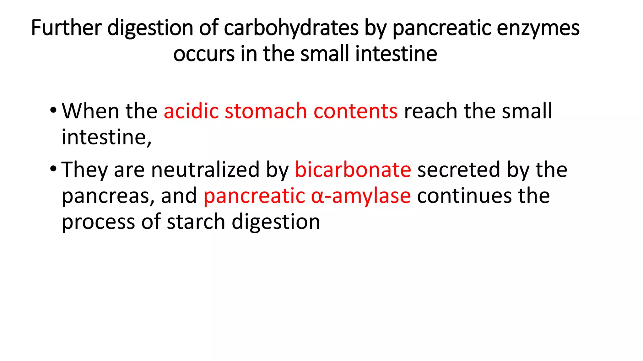 Carbohydrates digestion lec1 audio | PPTX
