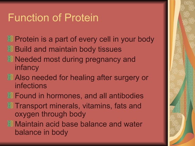Carbohydrates, fats, and proteins | PPT