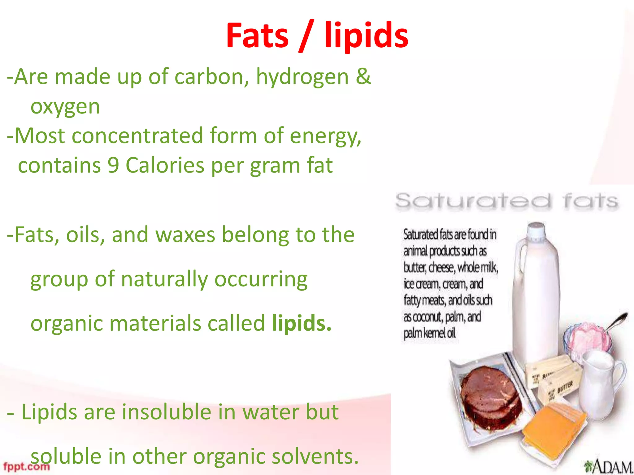 Carbohydrates, Fats and Proteins.ppt