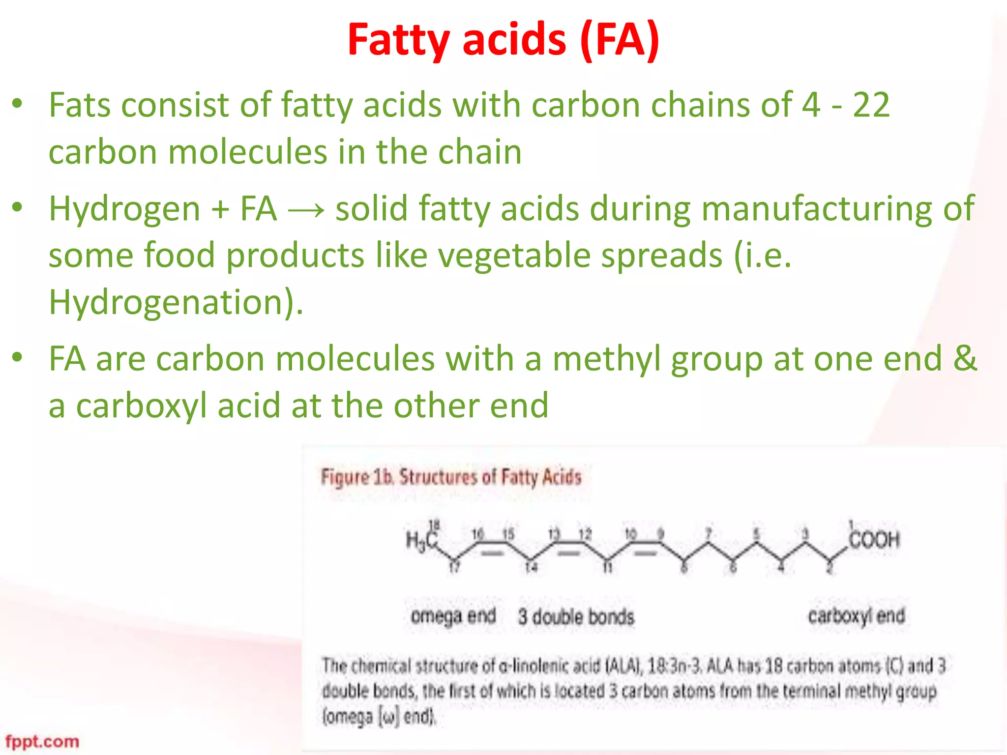 Carbohydrates, Fats and Proteins.ppt