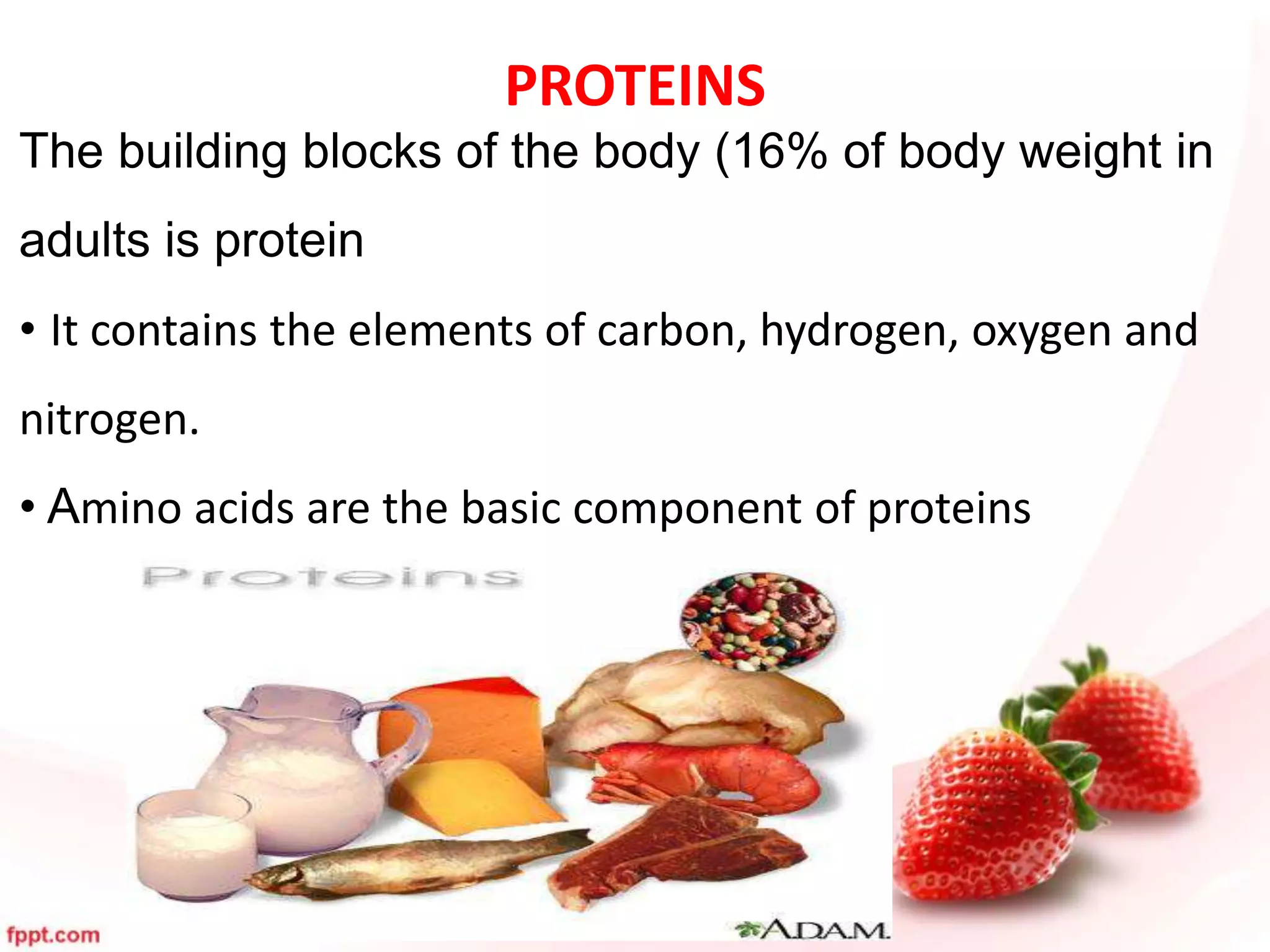 Carbohydrates, Fats and Proteins.ppt