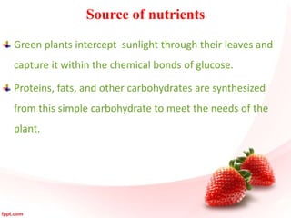 Carbohydrates, Fats and Proteins.ppt