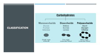 CARBOHYDRATES_Food Science.pdf
