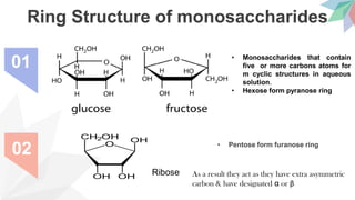 Structure and Importance of Carbohydrates II | PPT