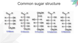 Structure and Importance of Carbohydrates II | PDF