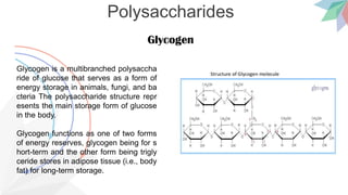 Structure and Importance of Carbohydrates II | PDF