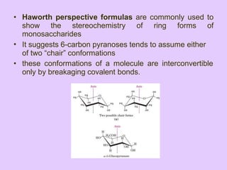 Carbohydrates introduction | PPTX | Chemistry | Science