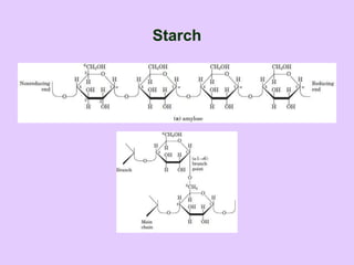 Carbohydrates introduction | PPTX