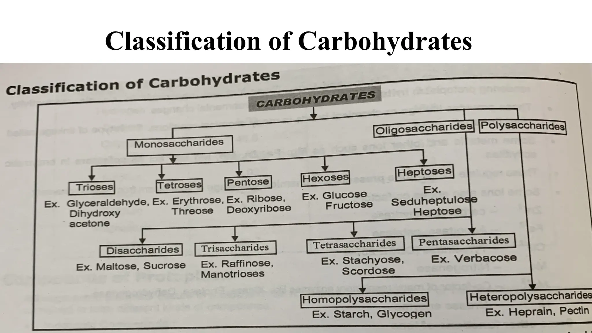 Carbohydrates Introduction, Functions and Classification.pptx