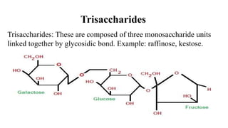 Carbohydrates Introduction, Functions and Classification.pptx