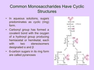 Carbohydrates, introduction, types and importance | PPT