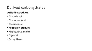 Carbohydrates lec 2 3 | PPTX | Chemistry | Science