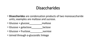 Carbohydrates lec 2 3 | PPTX