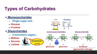 Carbohydrates Lecture.pptx
