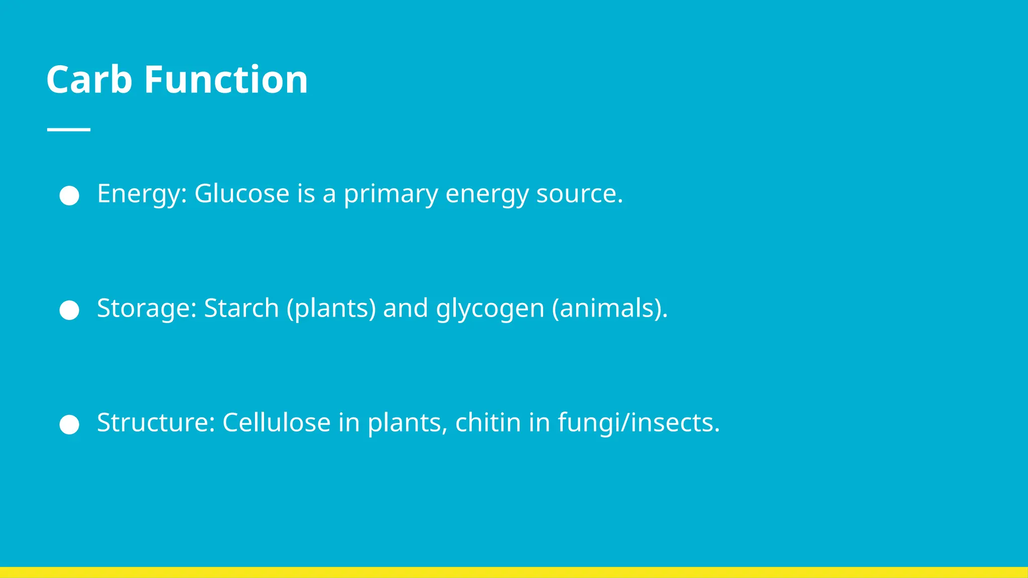Carbohydrates & Lipids Macromolecules.pptx