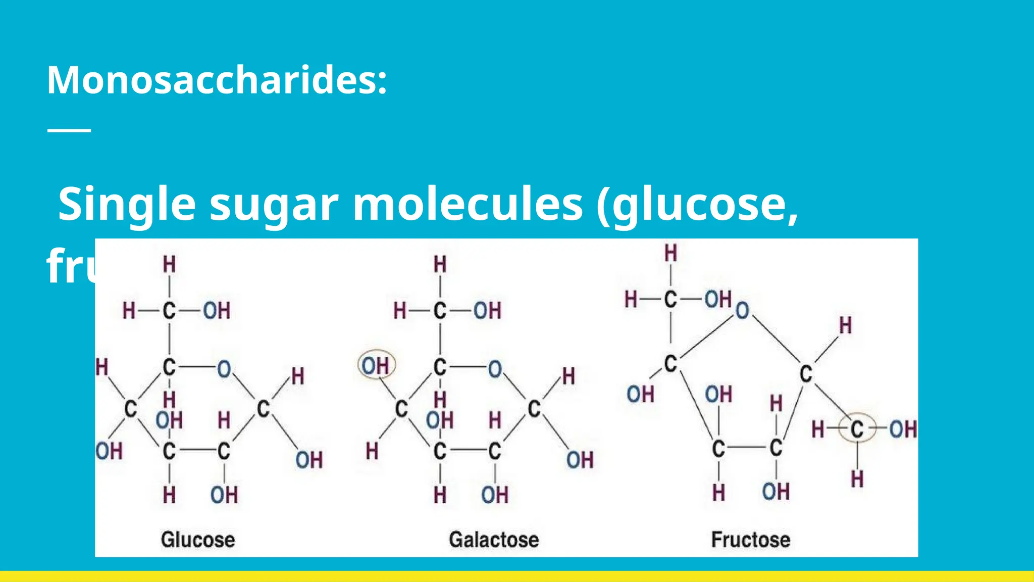 Carbohydrates & Lipids Macromolecules.pptx