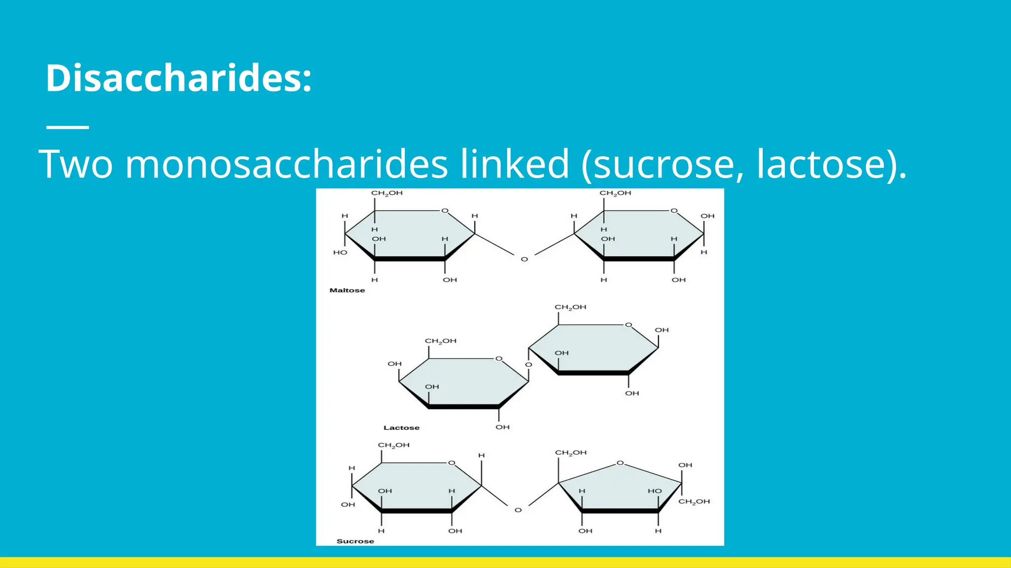 Carbohydrates & Lipids Macromolecules.pptx