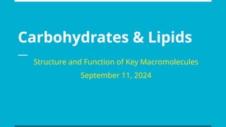 Carbohydrates & Lipids Macromolecules.pptx