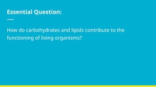 Carbohydrates & Lipids Macromolecules.pptx