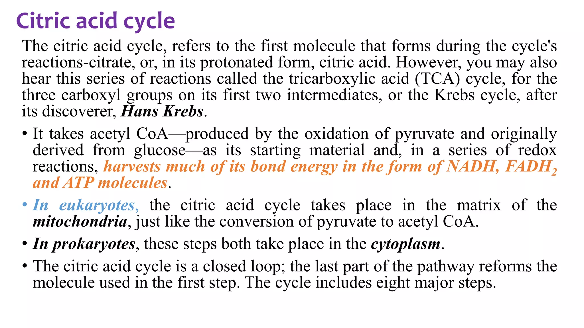 Carbohydrates metabolism and lipids biosynthesis and oxidation | PPTX