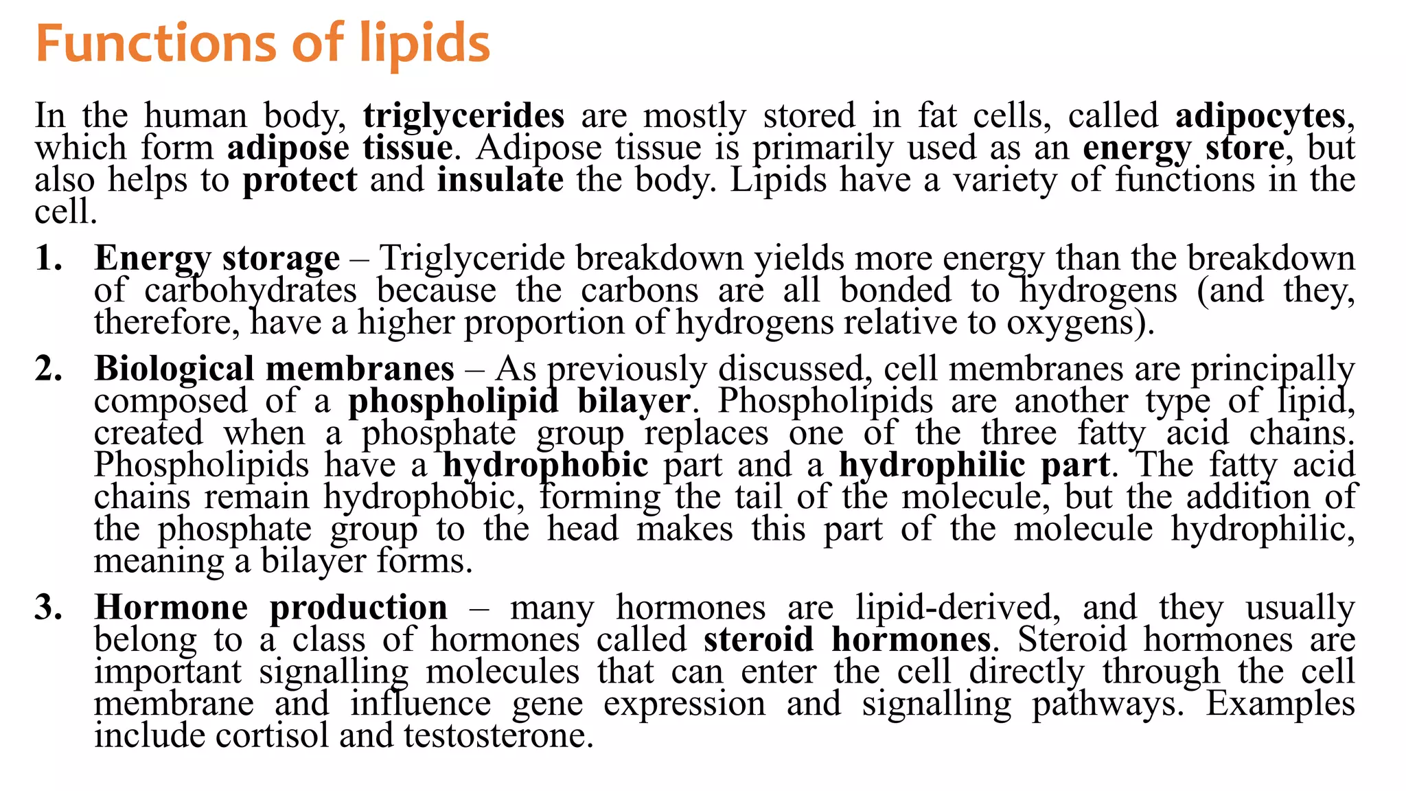 Carbohydrates metabolism and lipids biosynthesis and oxidation | PPTX