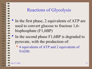 Carbohydrates metabolism glycolysis.ppt YU | PPT