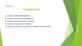 carbohydrates metabolism in prokaryotes ppt.pptx