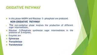 carbohydrates metabolism in prokaryotes ppt.pptx