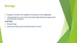 carbohydrates metabolism in prokaryotes ppt.pptx