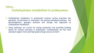 carbohydrates metabolism in prokaryotes ppt.pptx