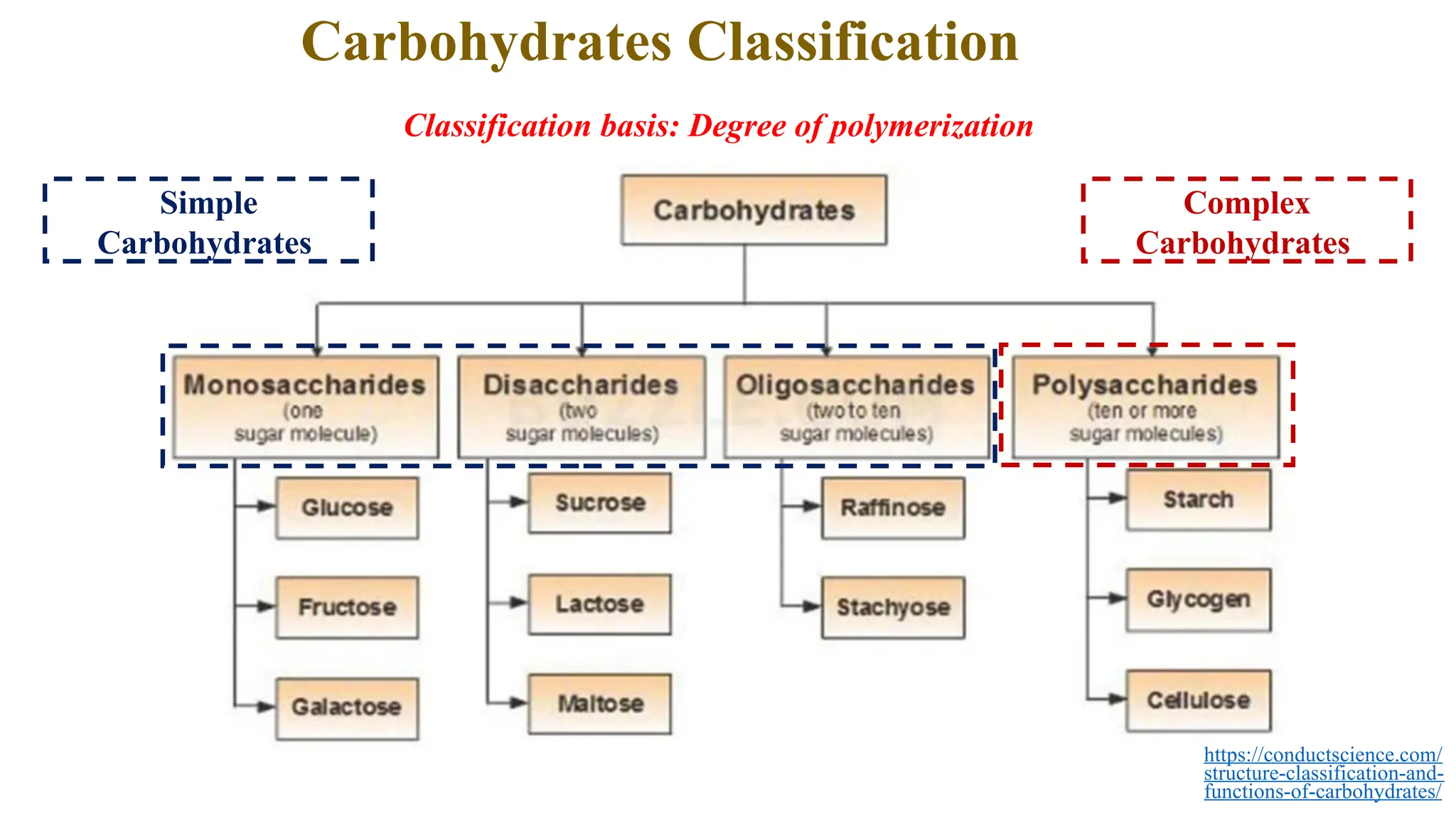 Carbohydrates (Monosaccharides with examples) | PPTX
