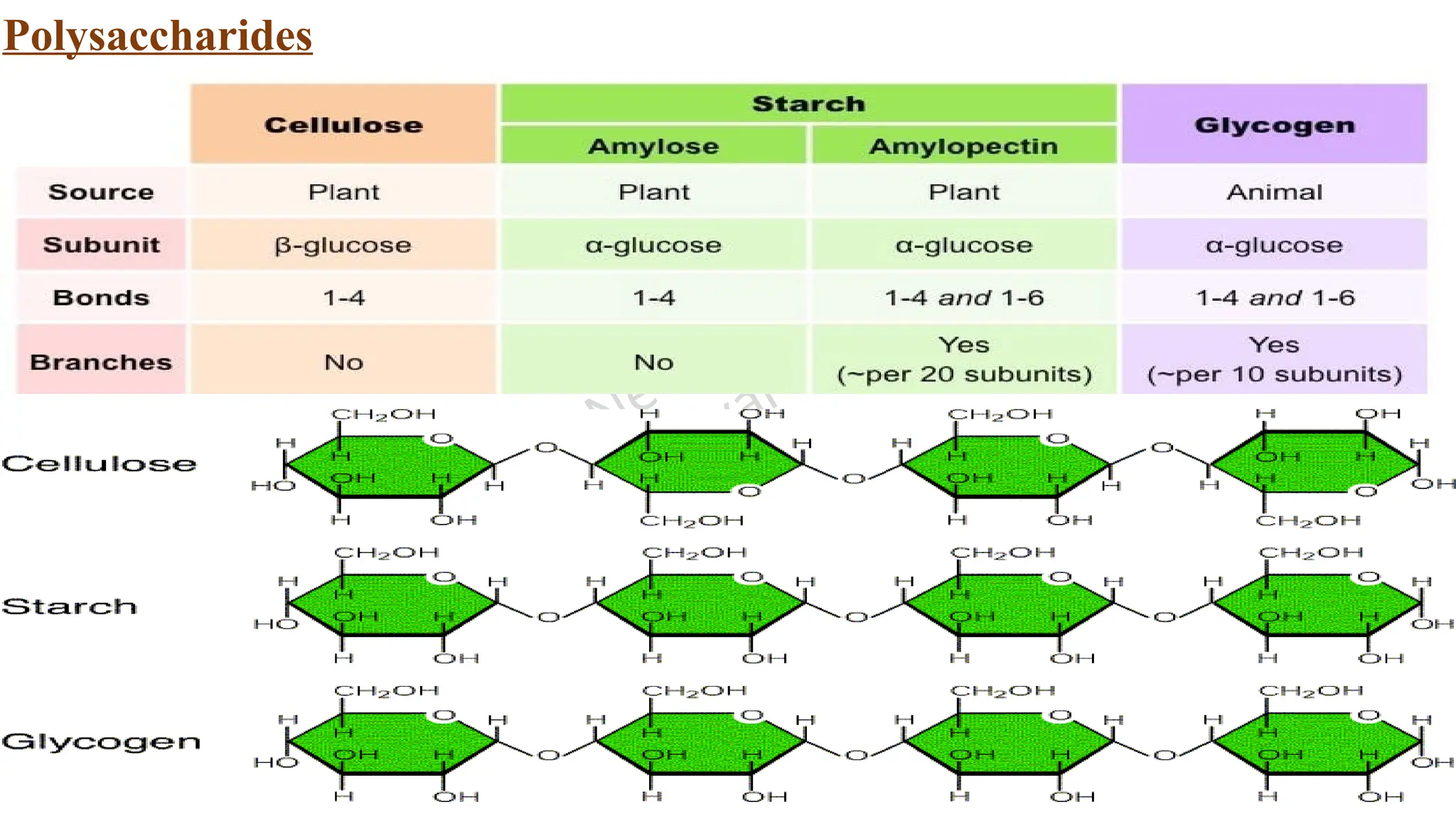 Carbohydrates (Monosaccharides with examples) | PPTX