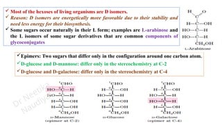 Carbohydrates (Monosaccharides with examples) | PPTX
