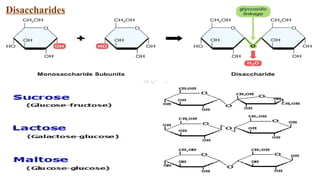 Carbohydrates (Monosaccharides with examples) | PPTX
