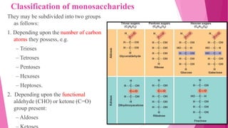 CARBOHYDRATES (monosaccharides and oligosaccharides).pptx
