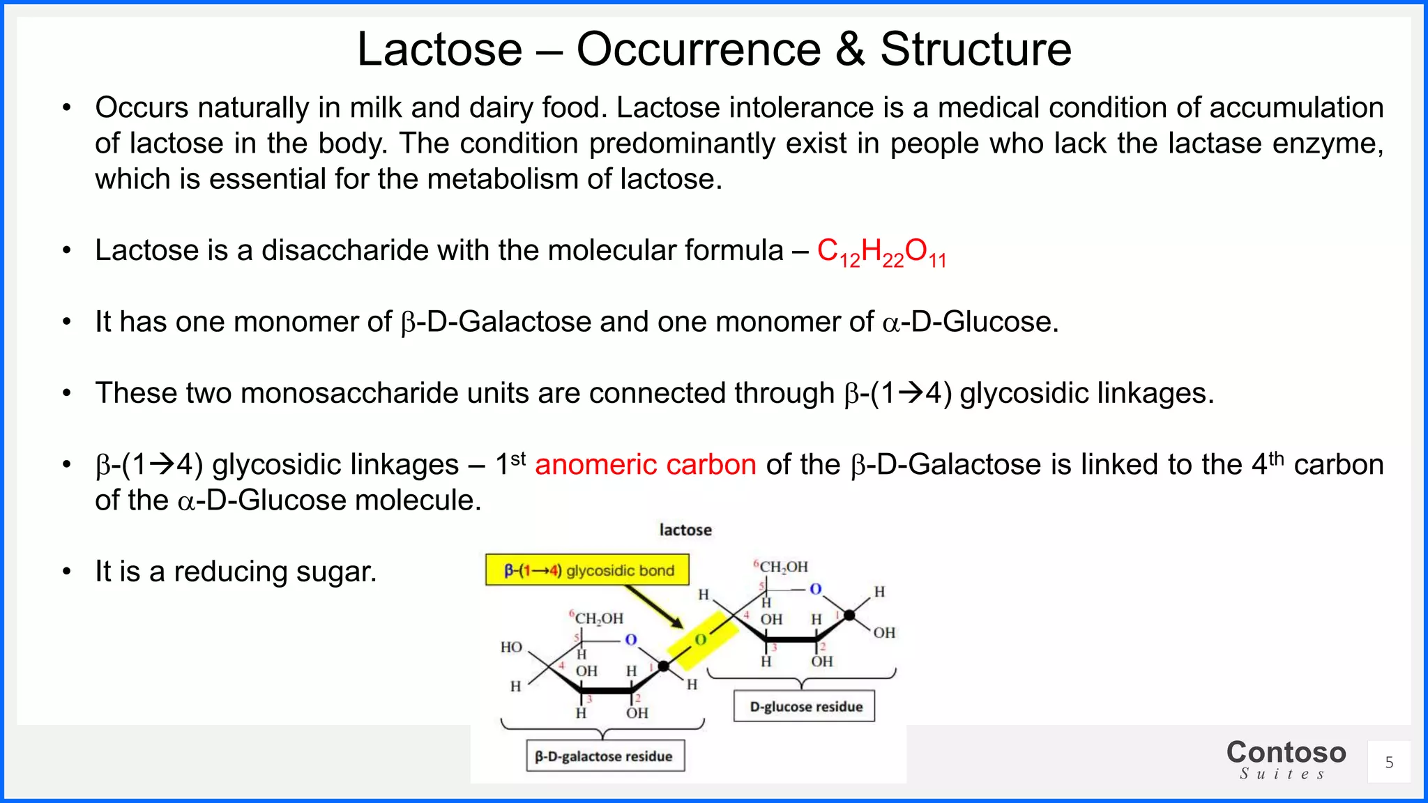 Carbohydrates - Disaccharides and Polysaccharides | PPTX
