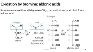 Carbohydrates_Part B.pptx