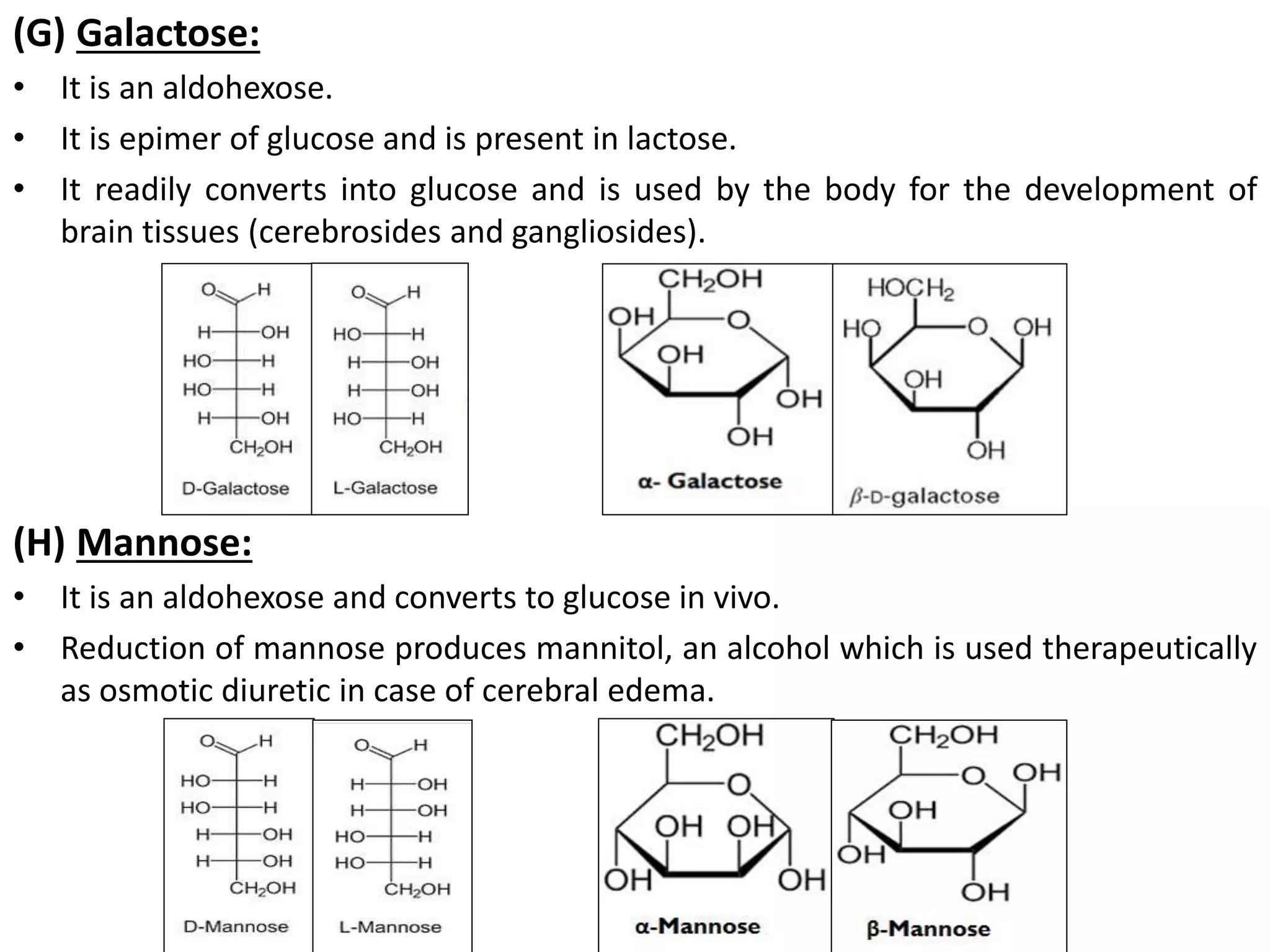 carbohydrates ppt-1.pptx
