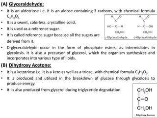 carbohydrates ppt-1.pptx