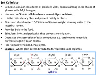 carbohydrates ppt-1.pptx