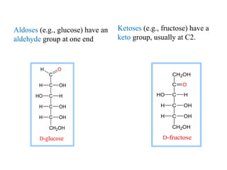 Carbohydrates ppt | PPTX