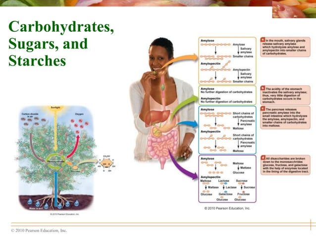 carbohydrates ppt.ppt | Chemistry | Science