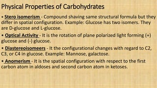 carbohydrates | PDF